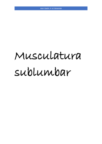 Musculatura-sublumbar.pdf