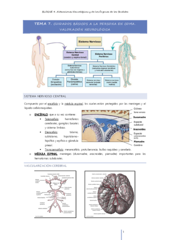 AGUDOS-BLOQUE-4-t7-t8-t9.pdf