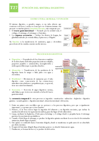FISIO-T27-Funcion-del-sistema-digestivo.pdf