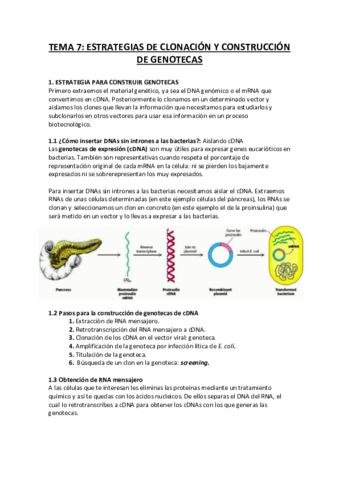 TEMA-7-Genetica.pdf