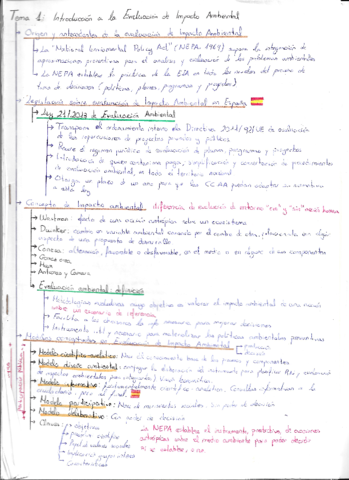 Resumen-completo-EIA.pdf