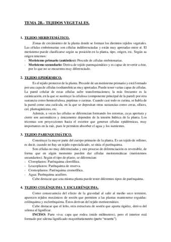 TEMA 2B.pdf