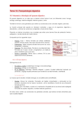 ANATOMIA-E-HISTOLOGIA-DEL-APARATO-DIGESTIVO.pdf