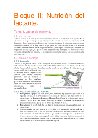Bloque-II.pdf