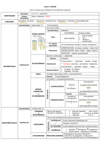 Esquema-tema-3-LIPIDOS.pdf