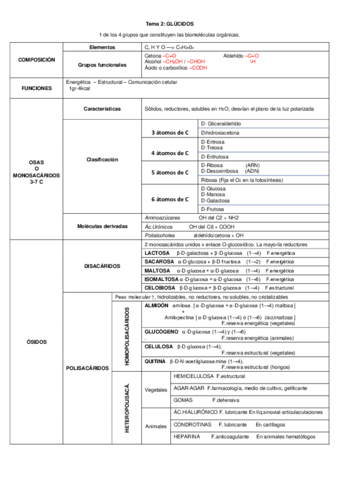 Esquema-tema-2-GLUCIDOS.pdf