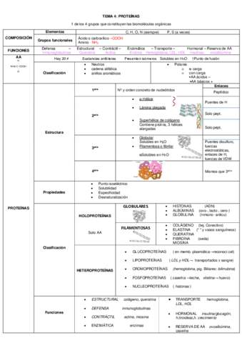 Esquema-tema-4-PROTEINAS.pdf