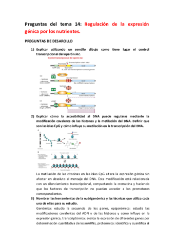 Preguntas-T14.pdf