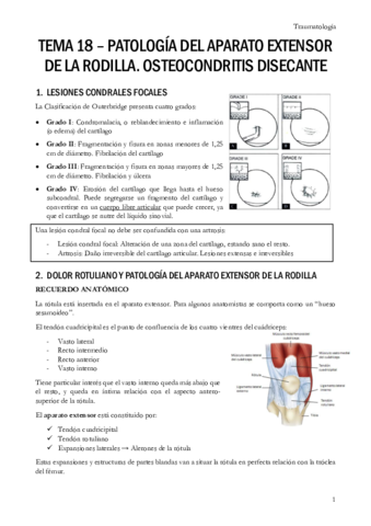 TEMA-18-Patologia-aparato-extensor-de-la-rodilla.pdf
