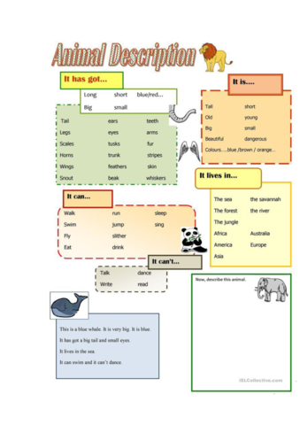 ANIMAL-DESCRIPTION.pdf