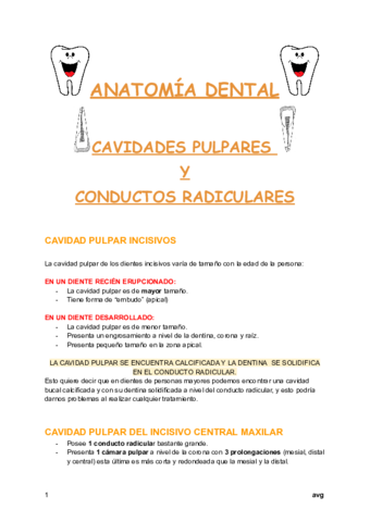 CAVIDAD-PULPAR-ANATOMIA-DENTAL.pdf
