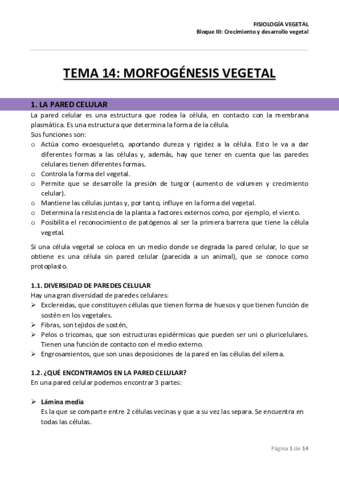 TEMA-14-MORFOGENESIS-VEGETAL.pdf