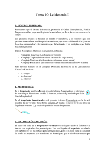 Tema-10AOrden-Kinetoplasida.pdf