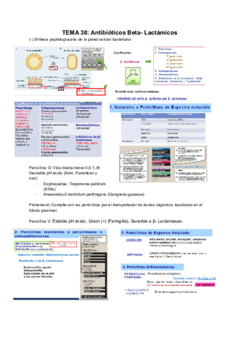 TEMA-38-Antibioticos-Beta-Lactamicos.pdf