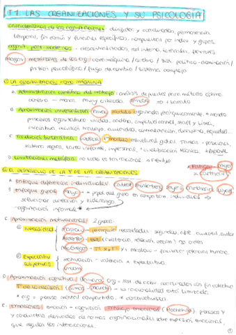 PSICOLOGIA-DE-LAS-ORGANIZACIONES.pdf