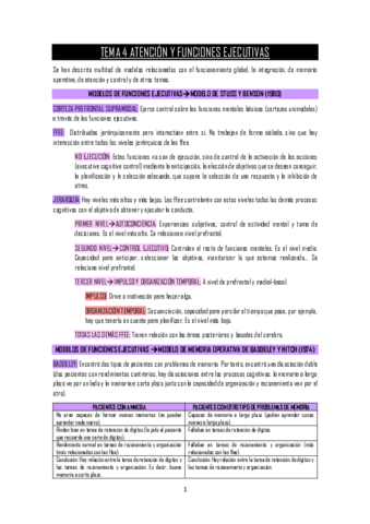 TEMAS-5-Y-6-ATENCION-Y-FUNCIONES-EJECUTIVAS.pdf