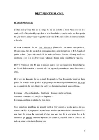 APUNTS-DRET-PROCESSAL-CIVIL.pdf