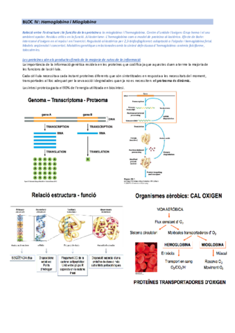 BLOC-IV-MIOGLOBINA-I-HEMOGLOBINA.pdf