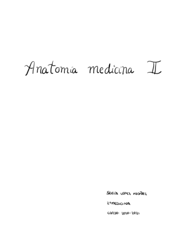 Esquemas-Anatomia-.pdf