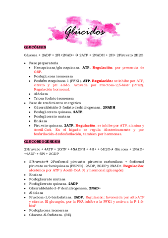 esquema-enzimas-de-glucidos.pdf