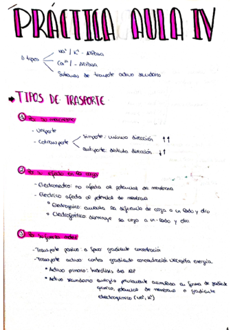 PRACTICA-AULA-IV.pdf