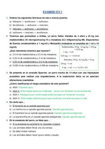 EXAMEN-ICV-I.pdf