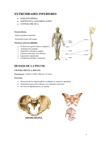 APUNTES-EEII-COMPLETOS.pdf