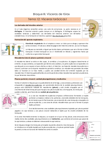 Bloque-III.pdf
