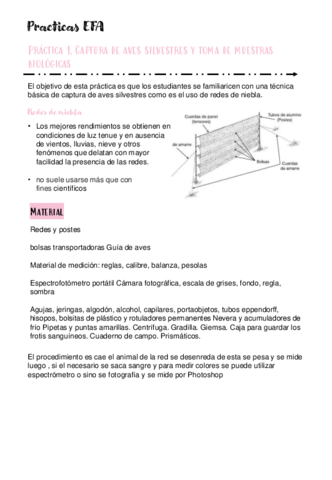 practicas-efa.pdf