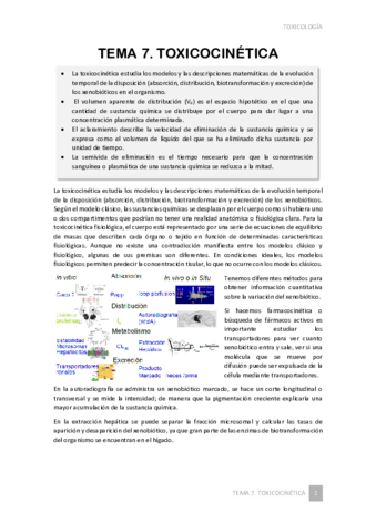 TEMA-7.pdf