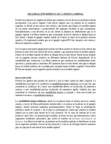 ORGANIAZCION-SENSITIVA-DE-LA-MEDULA-ESPINAL.pdf