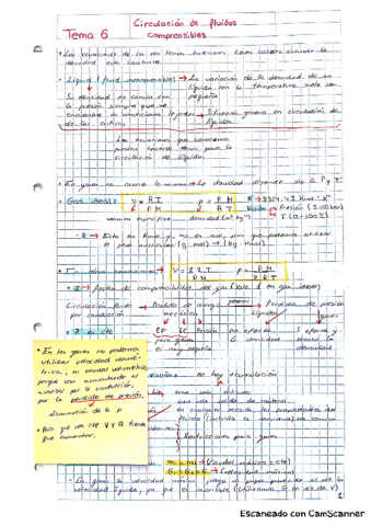 TEMA-6-FLUIDOS.pdf