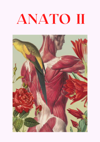 portadas-ANATO-2.pdf