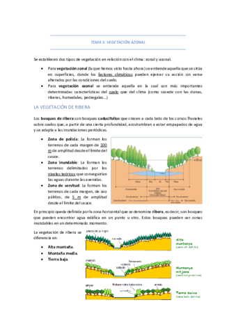 TEMA-5-VEGETACION-AZONAL-2.pdf