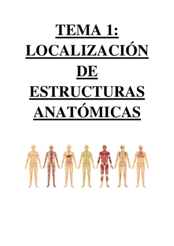TEMA 1 - LOCALIZACIÓN DE ESTRUCTURAS ANATÓMICAS.pdf