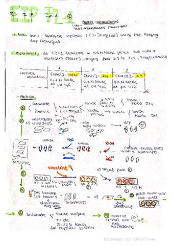 EIP-Lab-diagramas-flujo-de-practicas.pdf