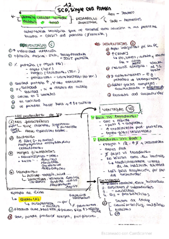 MI-esquemas-final.pdf