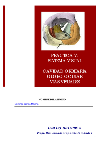 Lamina-Practica-V.pdf