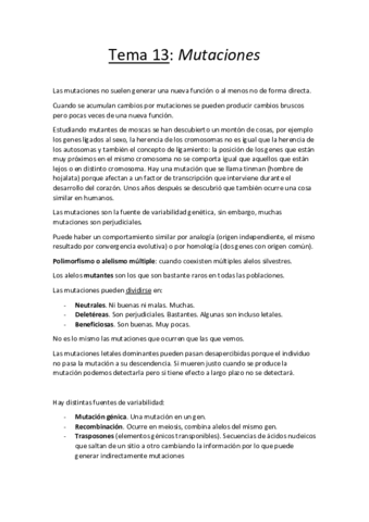 Tema 13.pdf