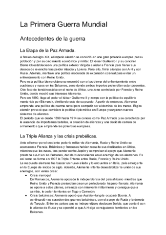 La-primera-guerra-mundial.pdf