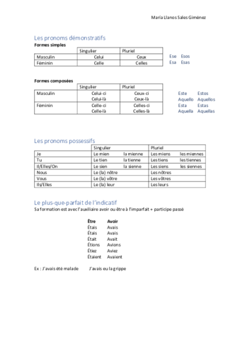 Gramatica-lengua-francesa-2.pdf