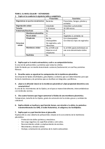 FG-Tema-2-Actividades.pdf