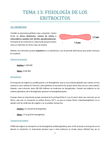 TEMA-13-bueno.pdf
