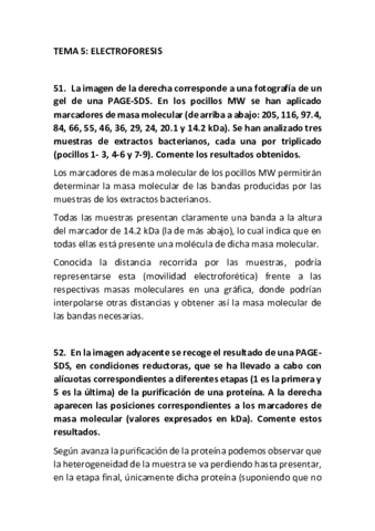 Electroforesis.pdf