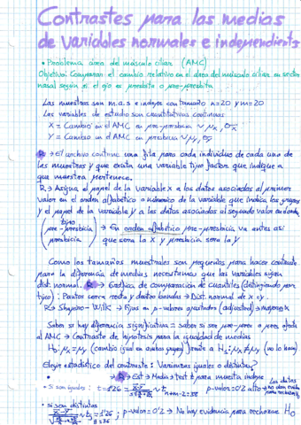 resumen-tema-3-inferencia.pdf