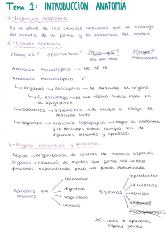 Anatomia 1o Pdf