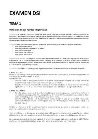 EXAMEN-DSI.pdf