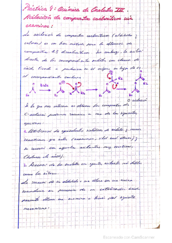 practica-4.pdf
