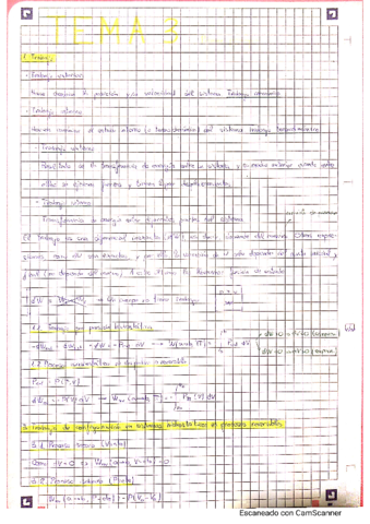 Tema-3-Primer-principio.pdf