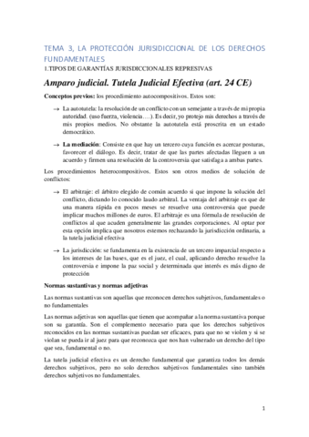 TEMA-3-DC.pdf